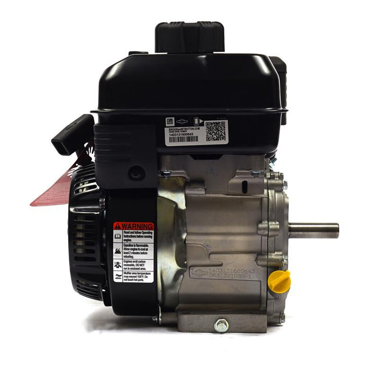 Full Range of Briggs & Stratton Engines - Australia Wide Delivery ...